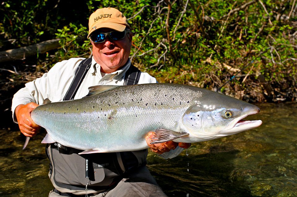 Monster Royalty Salmon - Fish & Fly