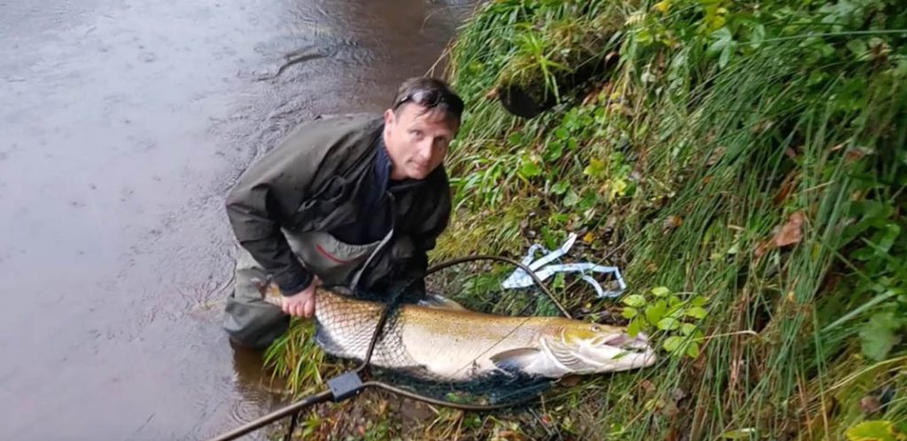 2016 Malloch Trophy Winner John MacIsaac talks about his winning Salmon ...