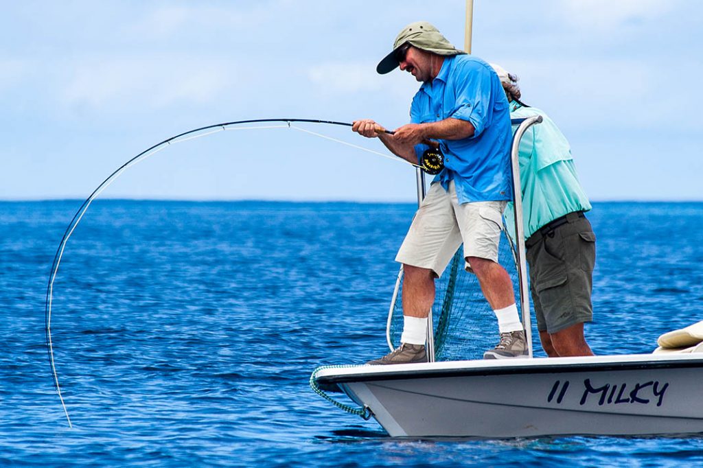 Fly Fishing for Kicks - Fish & Fly