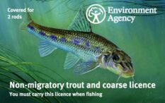 Fishing Licences Explained - Fish & Fly