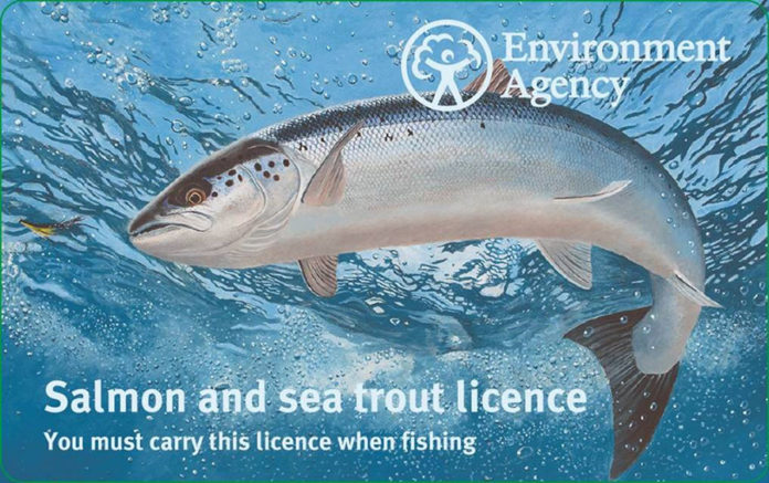 Fishing Licences Explained - Fish & Fly
