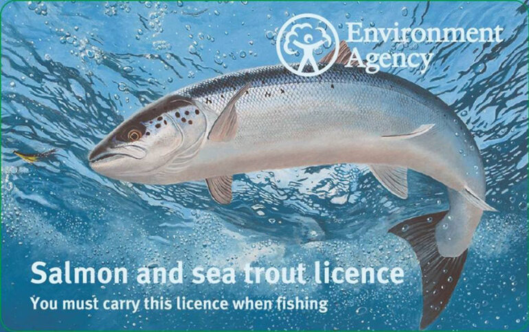 Fishing Licences Explained - Fish & Fly