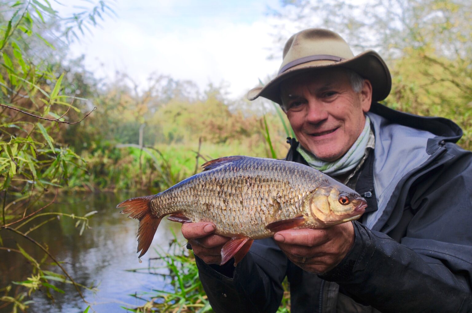 River Roach Obsession - Fish & Fly