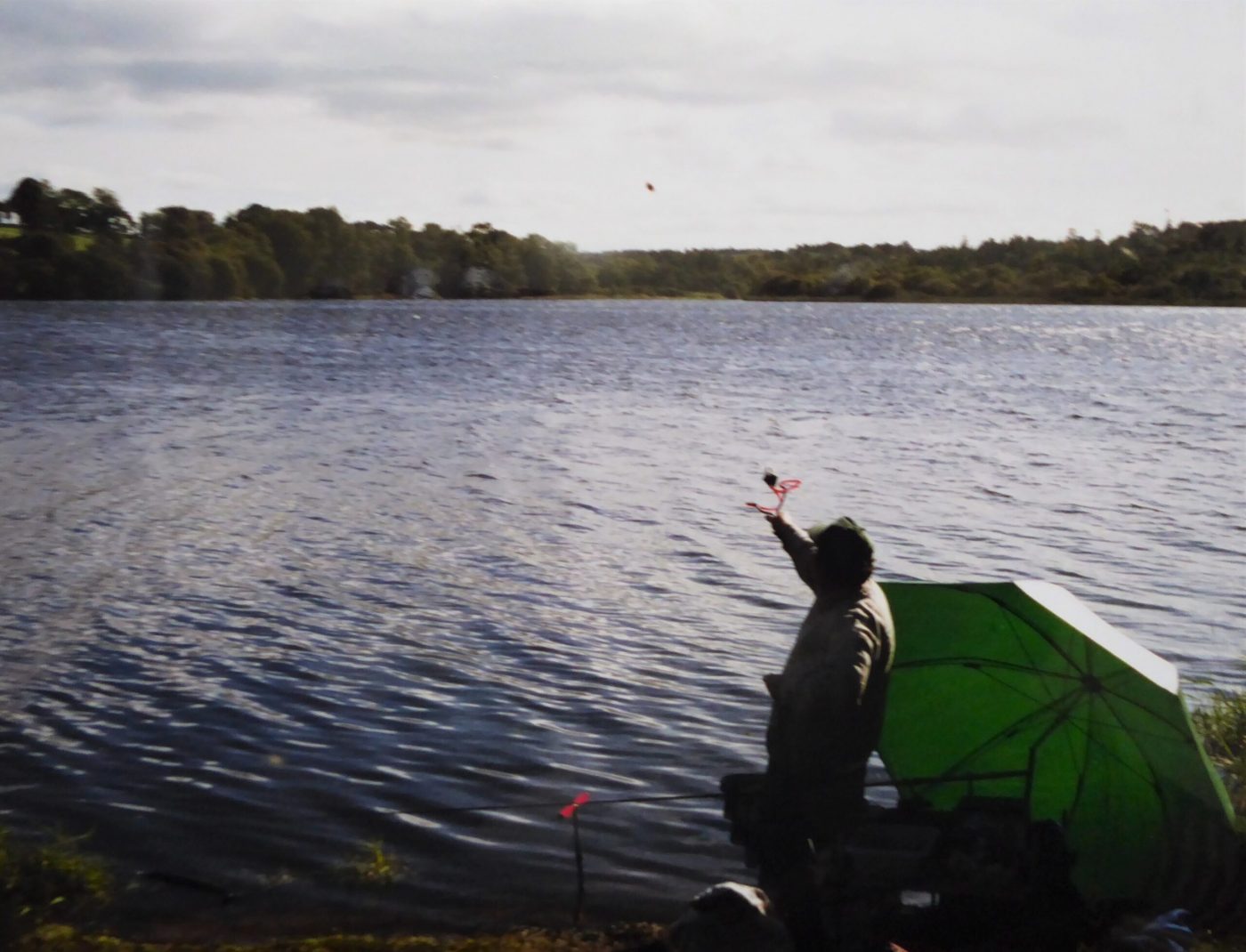 Andy Scholey: Fishing in Ireland – An Amateur’s Guide - Fish & Fly