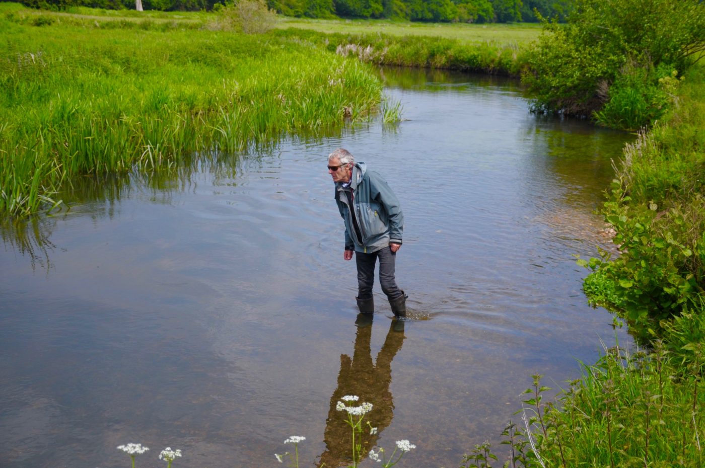 Conservation Corner: Petition Madness - Fish & Fly