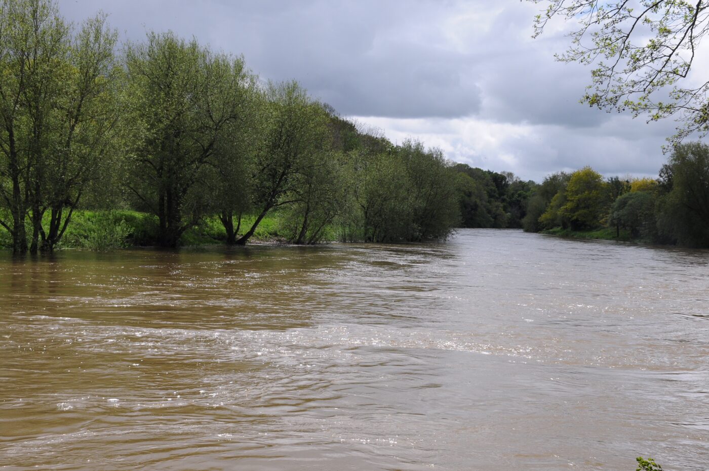 Passion For... Clean Rivers (Part 2) - Fish & Fly