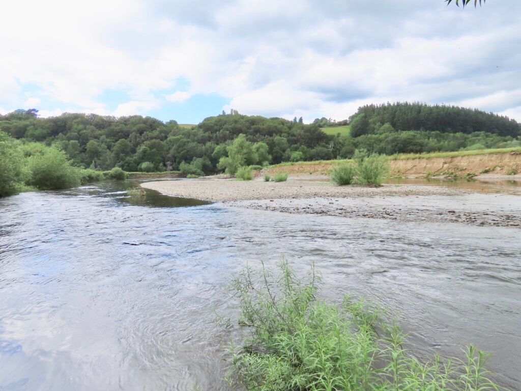 The Napoleon of the Wye - Fish & Fly