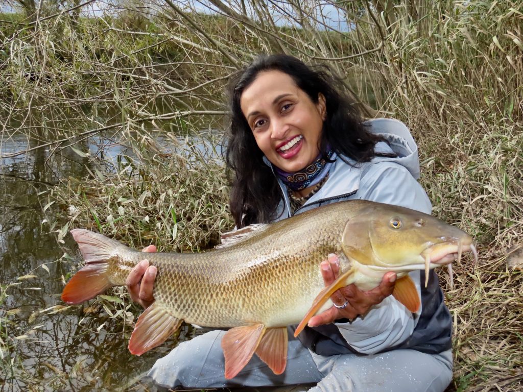 Passion for Barbel... In Wild Waters - Fish & Fly