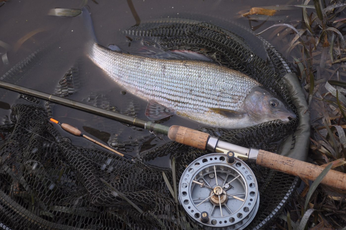 Passion for... Favourite (Grayling) Swims - Fish & Fly