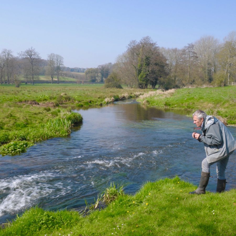 A Clear Winner in Sussex - Chalk Springs Trout Fishery - Fish & Fly